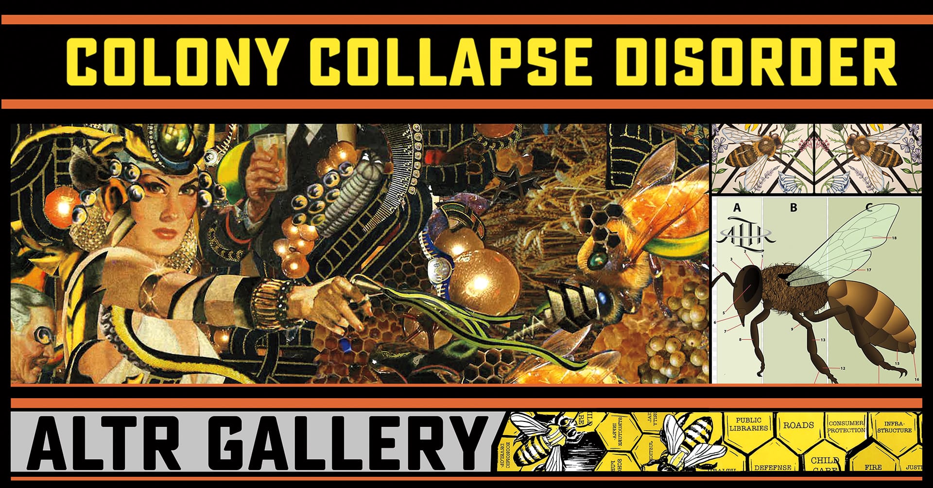 Colony Collapse Disorder - NEMAA