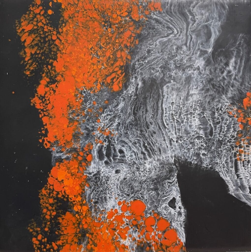 Julie Snidle: Artistic Lichens: A Kolman & Reeb Gallery Project Space ...