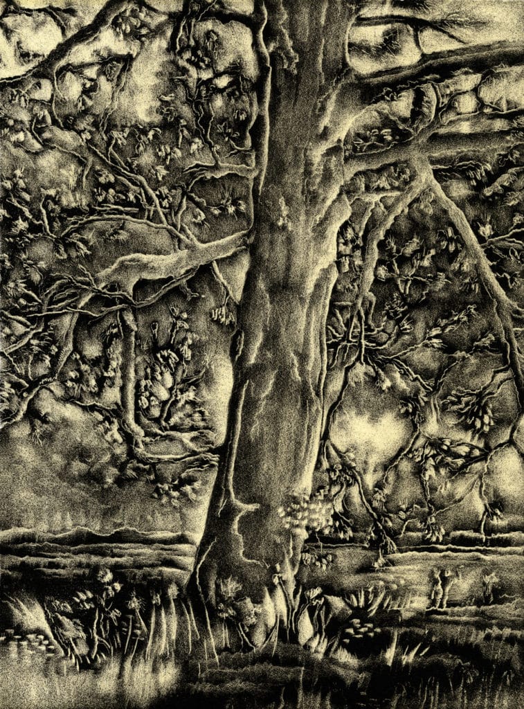 For I Am the King of the Forest - NEMAA