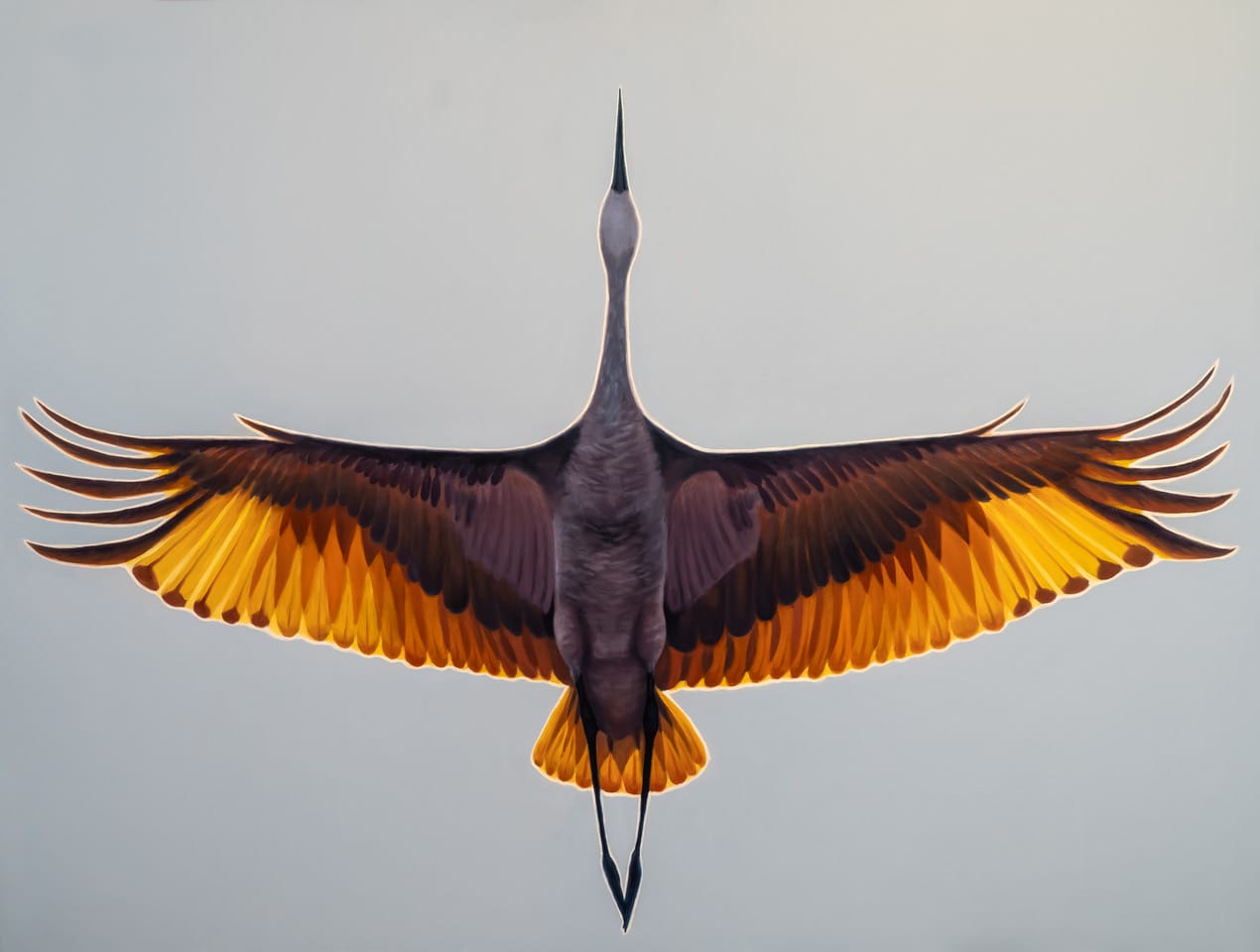 Hannah Anema Art - NEMAA