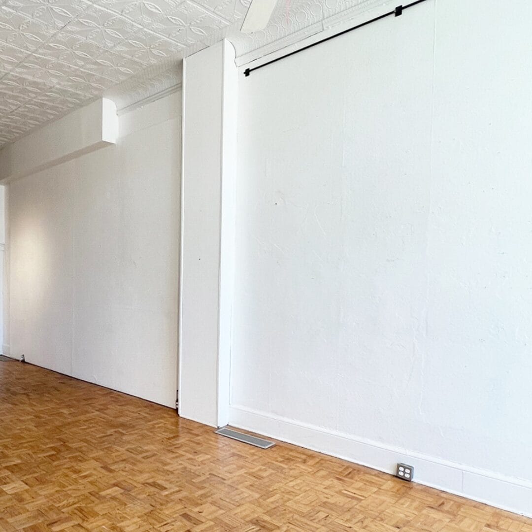 Drawing and Photography Exhibition at Moth Oddities - NEMAA