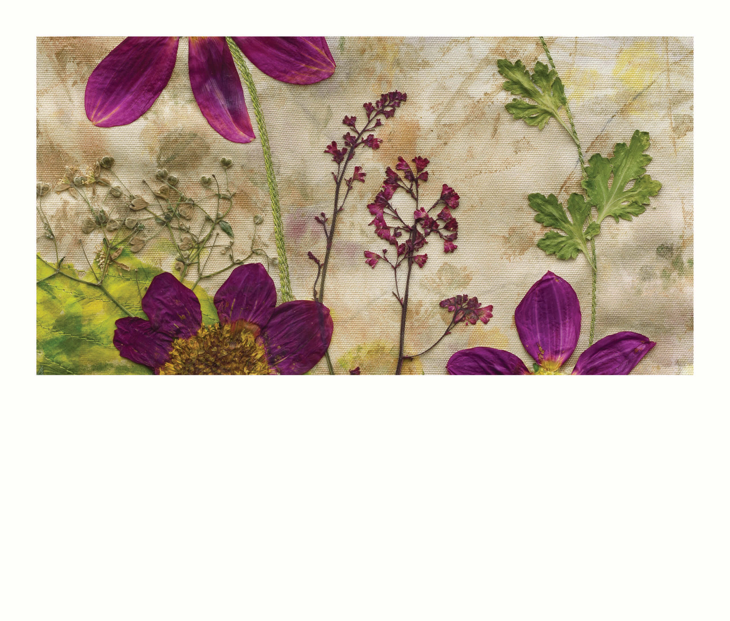 Cynthia Huff Design - NEMAA
