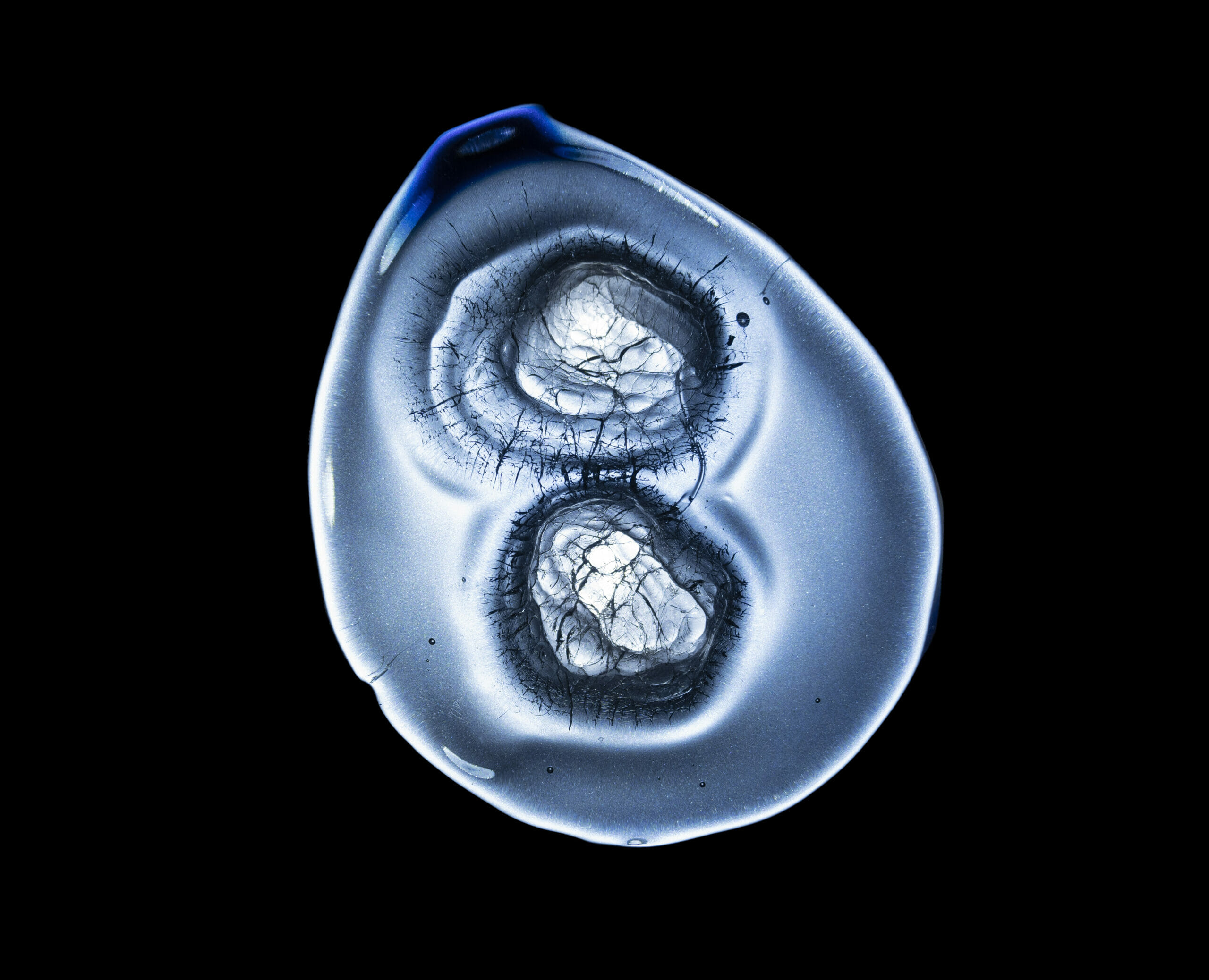 Power of Place - NEMAA