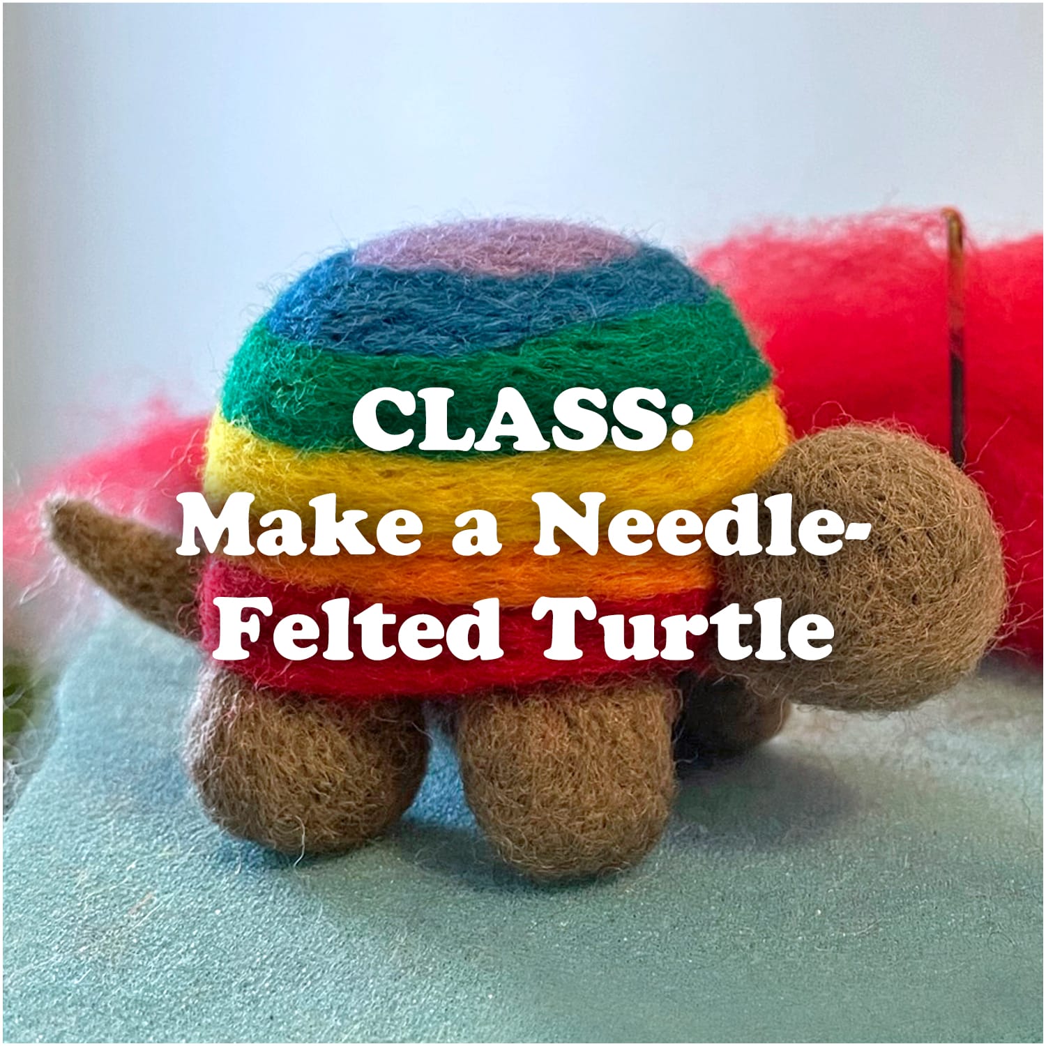 Make a Needle-felted Turtle - NEMAA